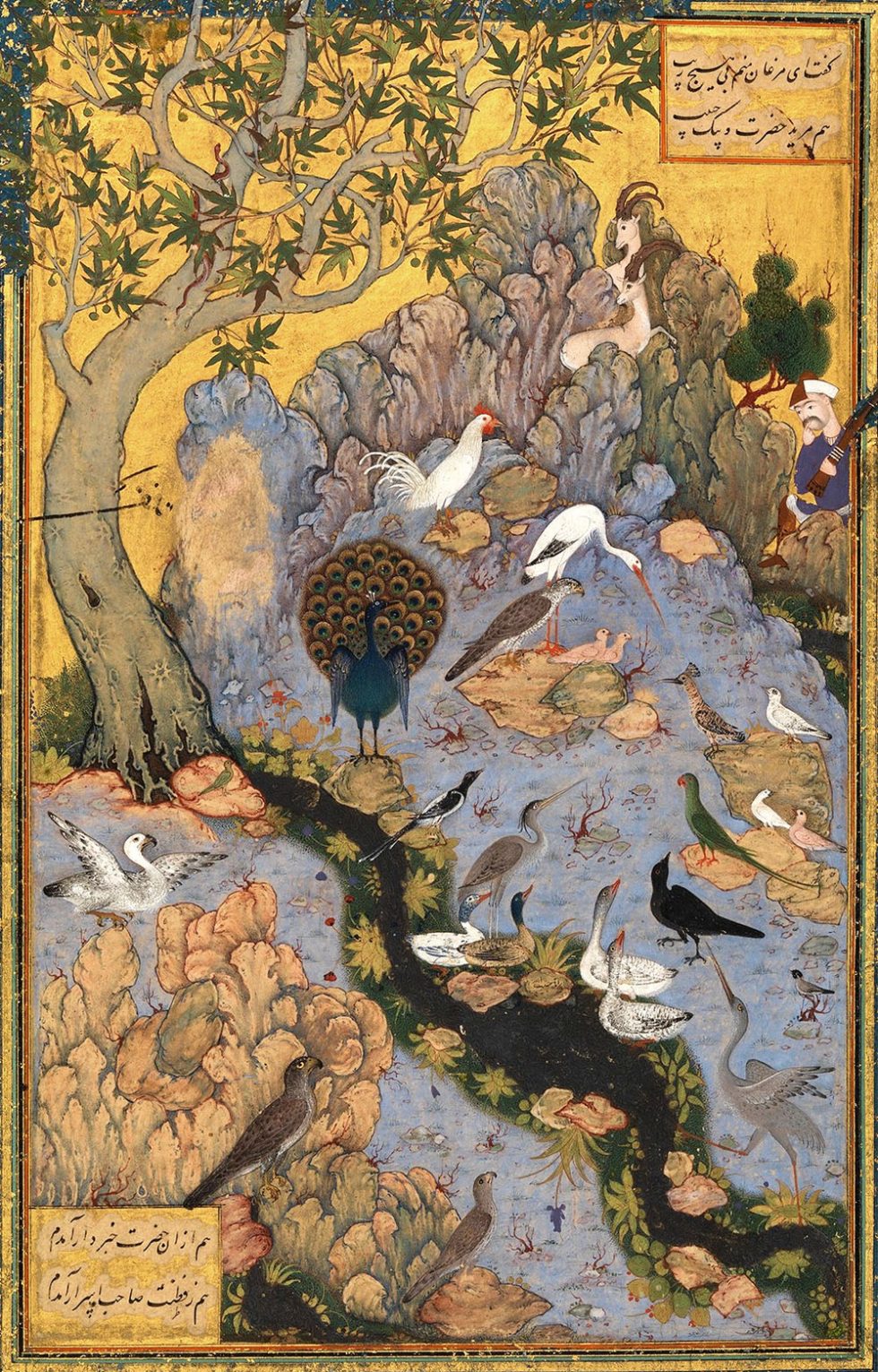 Attar: Vogelgespräche
